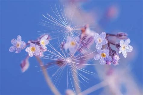 Linux网络编程系列(五) Setsockopt的常用选项 腾讯云开发者社区 腾讯云 Linux网络编程系列(五) Setsockopt的常用选项 腾讯云开发者社区 腾讯云
