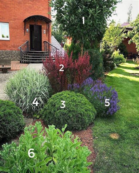 Ландшафтный дизайн участка