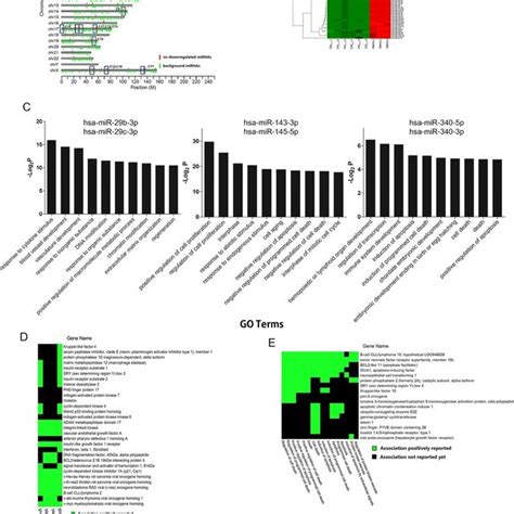 Chromosome Clustering And Gene Ontology Analysis A Chromosome Download Scientific Diagram
