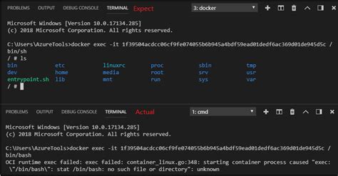 fail to attach shell for registry with error · issue 518