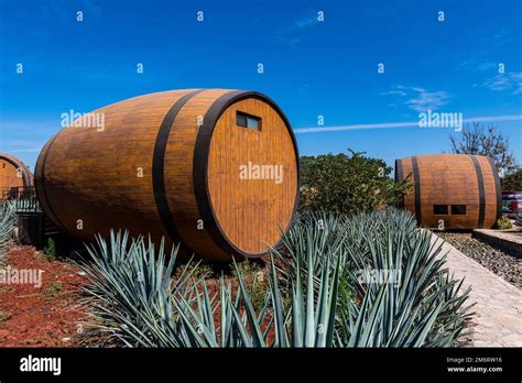 Tequila Jalisco Mexico Barrel Hotel At Vivian Bernhardt Blog