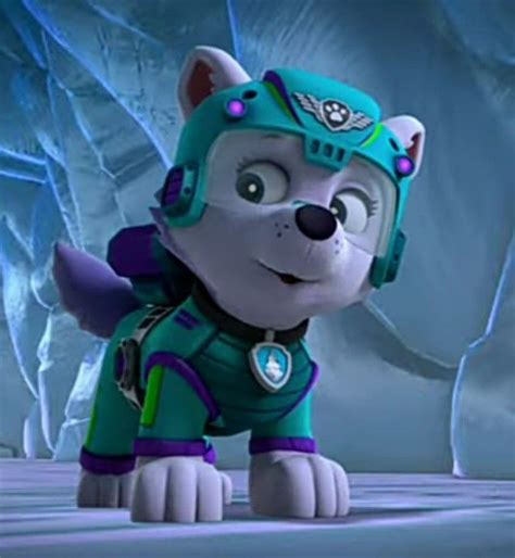 Everest Everest Paw Patrol Paw Patrol Rubble Paw Patrol