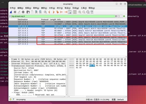 wireshark对tcp通信数据的抓包 wireshark追踪tcp流 csdn博客