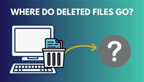 Where Do Deleted Files Go Recover The Required Files 2024