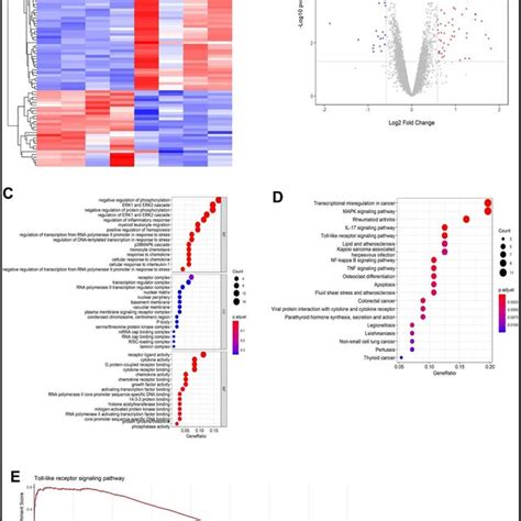 Results Of Bioinformatics Analysis A Differential Gene Volcano Map