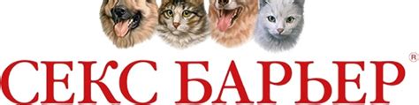 СЕКС БАРЬЕР (3+) | Единственный на российском рынке уникальный ...