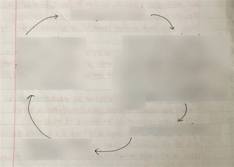 Diabetes Diagram Diagram Quizlet