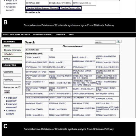 Structure Of Chorismate Synthase Database Download Scientific Diagram