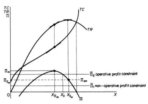 Baumols Sales Revenue Maximisation Model Static Models World Of