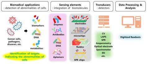 The Biomedical Applications Of Biomolecule Integrated Biosensors For Cell Monitoring