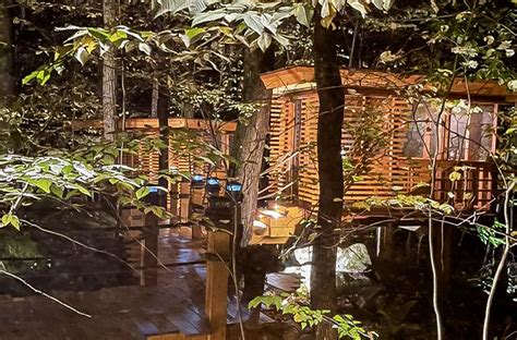 Tree Tops Dining Pods At Craig Alston Blog