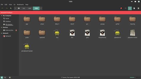 downloads default pathway seems to be a root folder linux mint it s