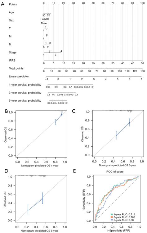 Bioinformatics Analysis Of An Immunotherapy Responsiveness Related Gene Signature In Predicting