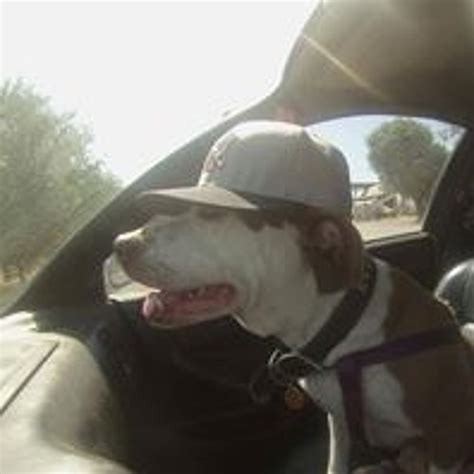 Stream Ed Flanders Music Listen To Songs Albums Playlists For Free