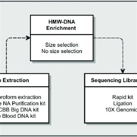 Diagram Of Wet Laboratory Workflow Sample Collection Extraction And Download Scientific