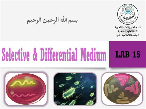 Lab Selective And Differential Media