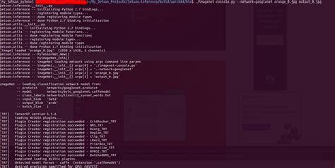 Issue Running Imagenet Console Py Issue 369 Dusty Nv Jetson Inference GitHub