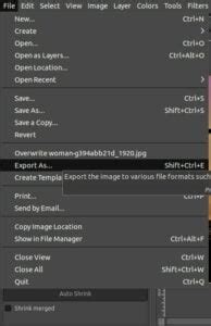 How To Cut Out An Object In GIMP Edits