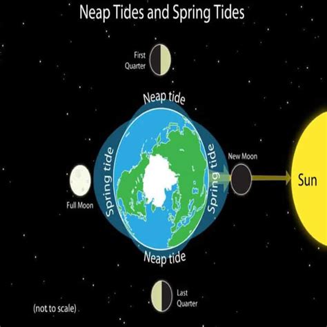 Movements Of Ocean Water Waves Tides And Ocean Currents Clearias