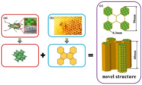 Energy Absorption Behavior Of Novel Bio Inspired Thin Walled Honeycomb Tubes Filled With Tpms