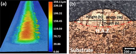 A 3d Image And B Optical Micrograph Of A Transverse Cross Section Of