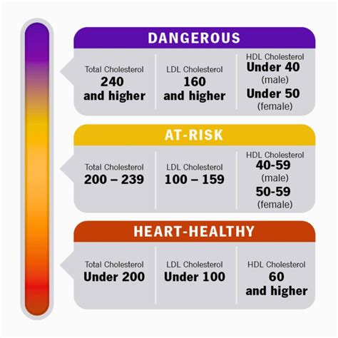 Cholesterol Ratio Calculator What It Is Why It Matters And How To