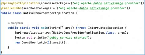 Towards Native Examples And Principles Of Spring And Dubbo Aot