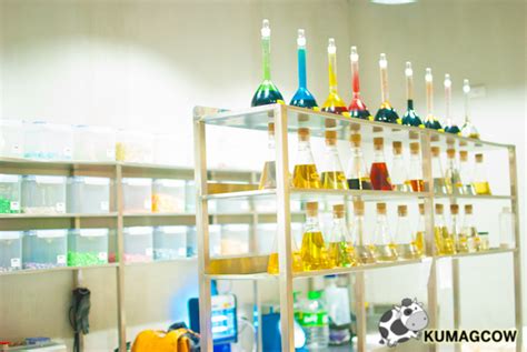 Moa Sweet Eats Valentines Rock From Made In Candy Kumagcow Com