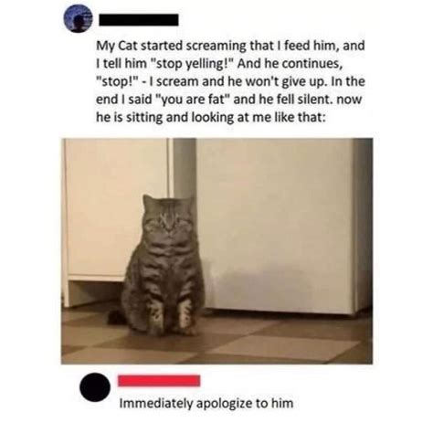 Meow Incorporated” 50 Perfectly Accurate Memes That Capture What Its