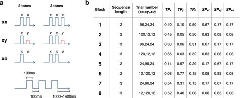 local global paradigm with manipulated temporal regularities a the