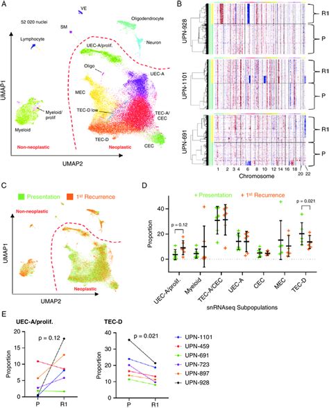 Single Nuclei Rnaseq Analysis Of Subclone And Neoplastic Subpopulation Download Scientific
