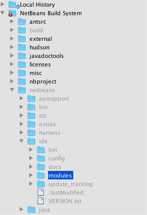 Hacking The NetBeans IDE Getting NetBeans Up And Running From Source