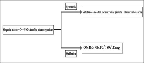 Principle Or Aerobic Fermentation Process Download Scientific Diagram