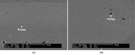 Sem Surface Micrographs Of The Samples Carburized For 3 Hours At 500