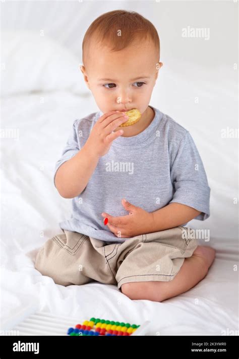 Eating A Tasty Cracker A Cute Little Boy Eating A Tasty Cracker Stock
