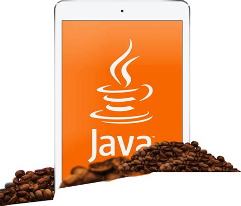 Java Development Services Company Java J2ee Developer
