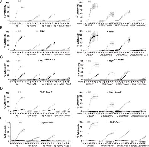Figure 1 From Caspase 8 Induces Cleavage Of Gasdermin D To Elicit
