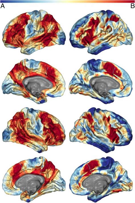 Modularity Of Mind Class Notes The Modular Theory Of The Mind