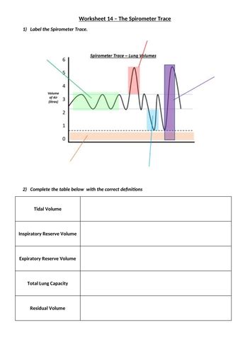 Aqa Gcse Pe Spirometer Traces Teaching Resources