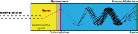 particle production and detection