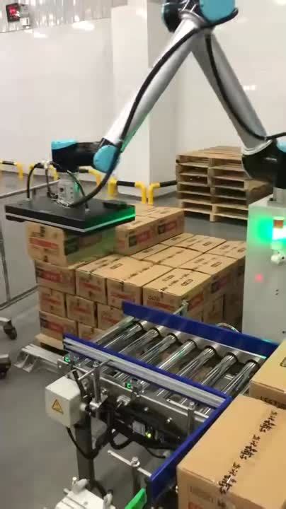 Introducing Collaborative Palletizing Robot Sara Tao Posted On The Topic Linkedin
