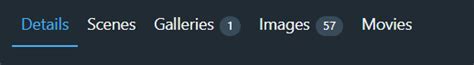 Custom CSS Snippets Stash Docs