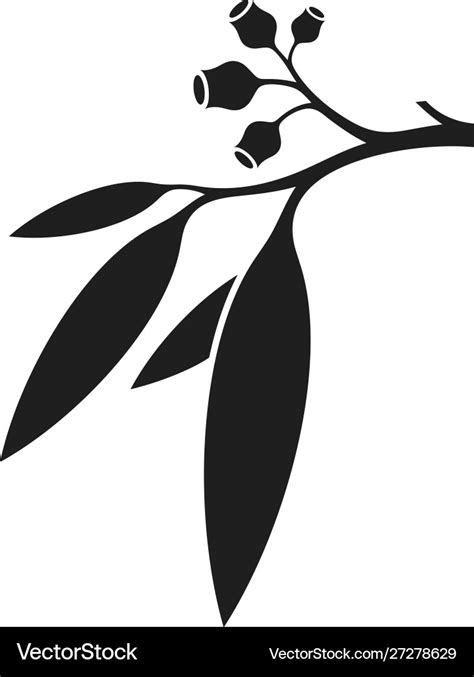 Eucalyptus Tree Royalty Free Vector Image Vectorstock