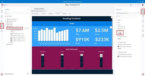 Sas Visual Analytics Report Examples Using Container Objects