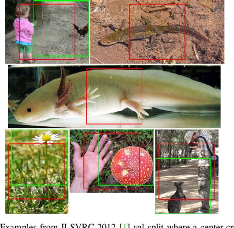 Figure 1 From Enhanced Performance Of Pre Trained Networks By Matched