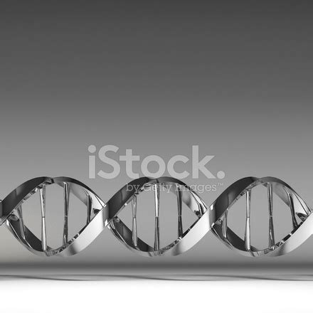 Dna Structure Model Stock Photo Royalty Free FreeImages