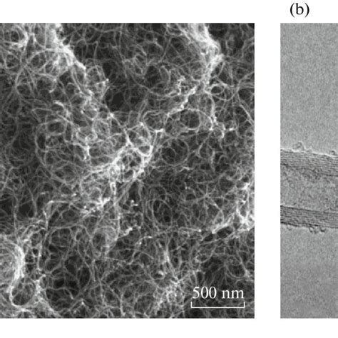 Mwcnt Structure A Is The Sem Image B Is The Tem Image Download