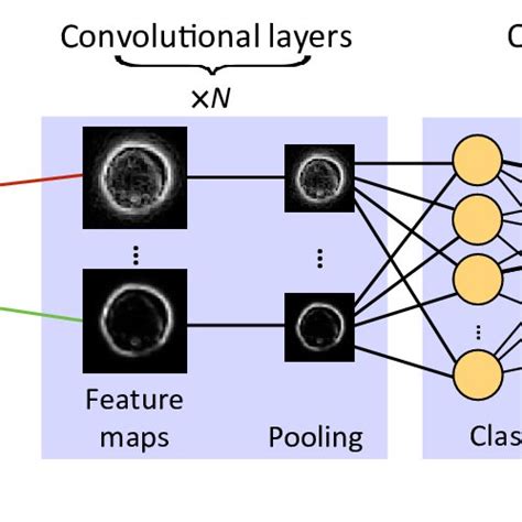 Illustration Of A Convolutional Neural Network Download Scientific Diagram