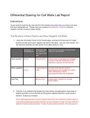 F SEC Cell Wall Staining Lab Report Pdf Differential Staining For Cell Walls Lab Report