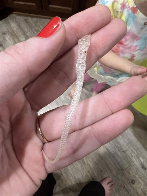 Can Someone Tell Me What Gender Fluid Tastes Like R Lgbt